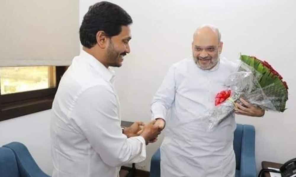 CM Jagan Mohan Reddy meets Amit Shah