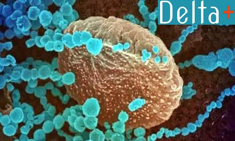 'Delta' variant mutates into 'Delta Plus'