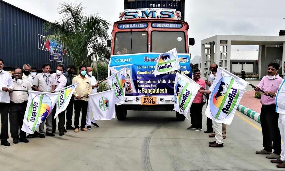 BAMUL ships 500 MT of milk powder to Bangladesh