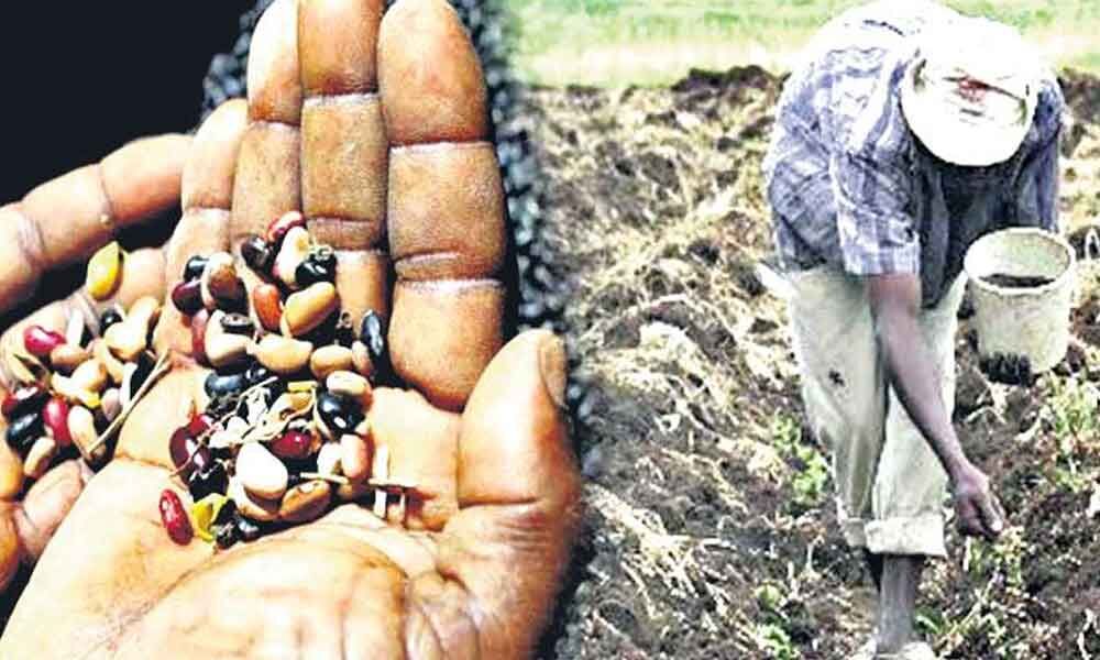 Telangana: Police Officials Are Keeping An Eye On Fake Seed Supply In ...