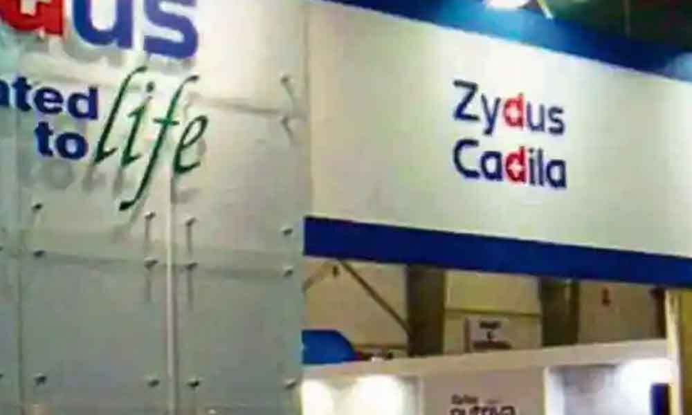 India's Zydus Cadila applies for emergency use nod for COVID-19 vaccine