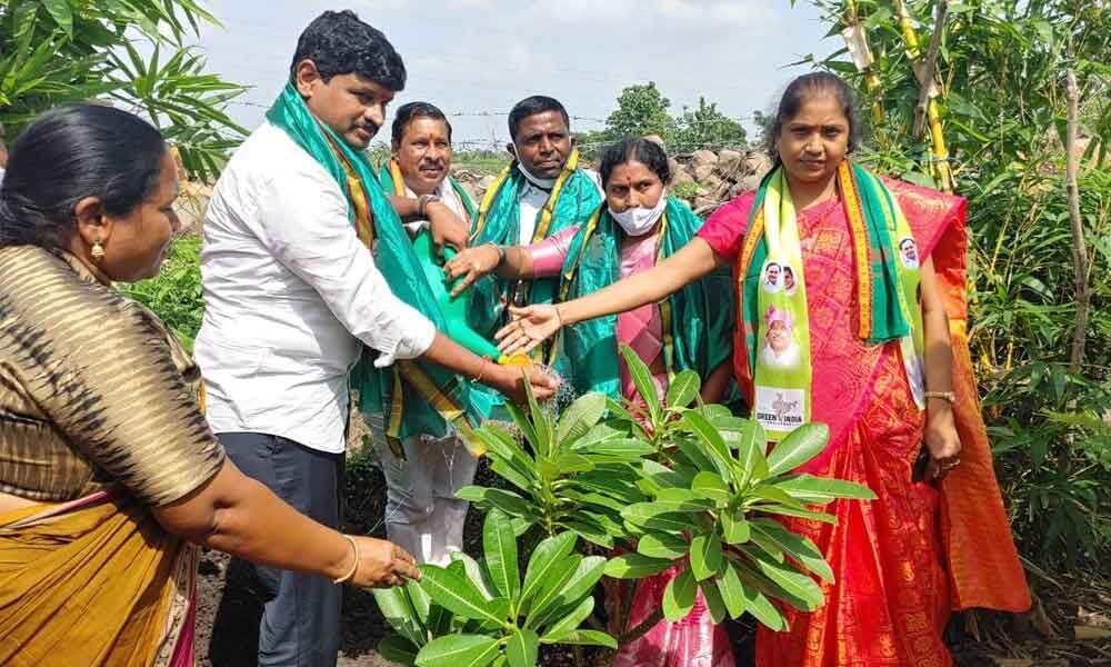 Hyderabad : One million sapling planted on a single day