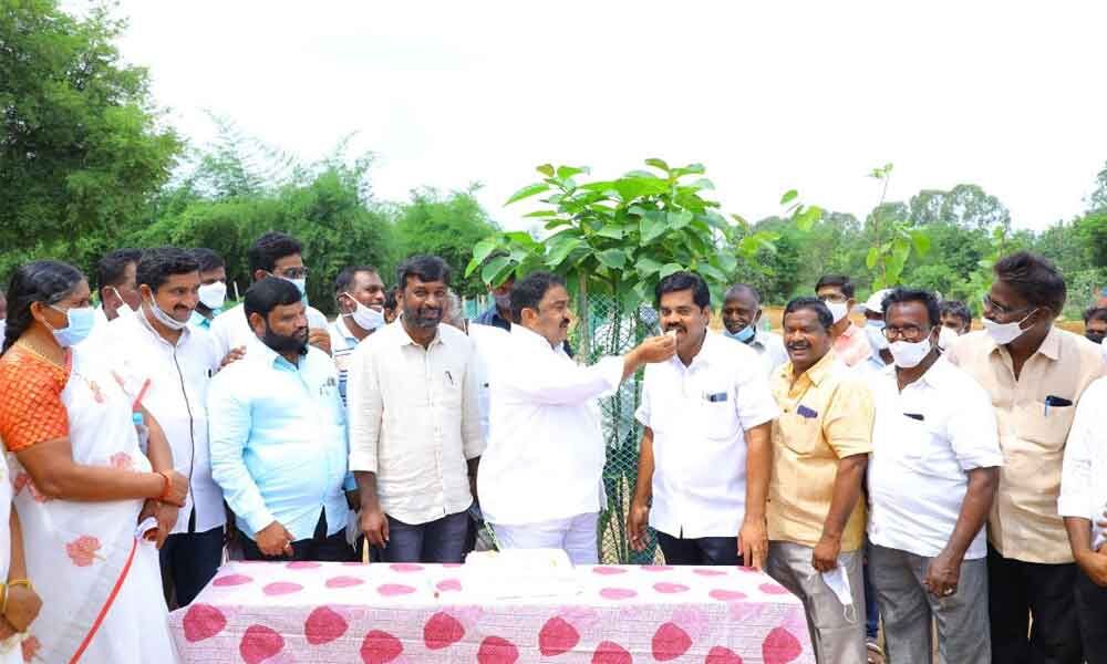 Khammam: MLA Sandra Venkata Veeraiah conducts 'plants' birthday