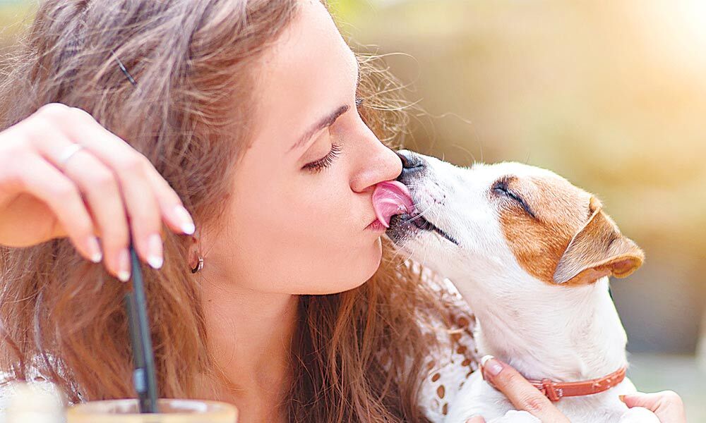 World Zoonoses Day: All you need to know about this infectious disease