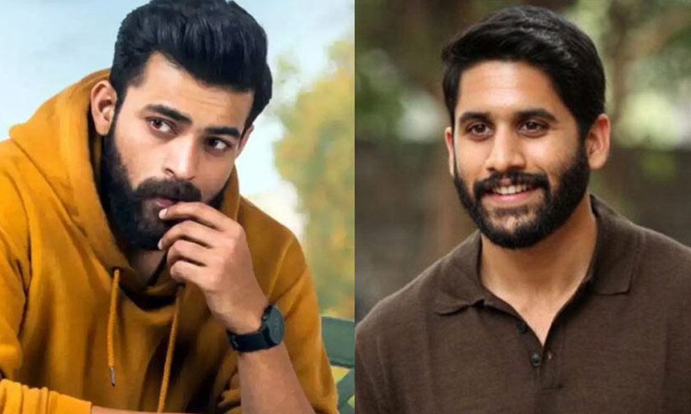Dasaradh to make a multi-starrer with Naga Chaitanya and Varun Tej?