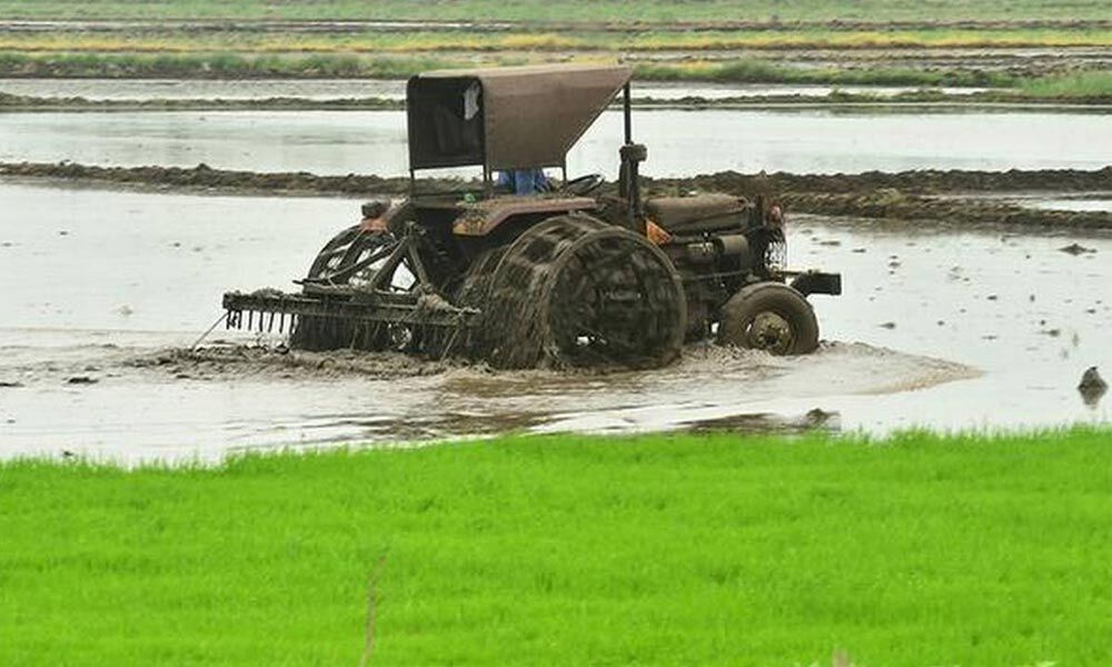 Srikakulam: Farmers await registration under e-crop system