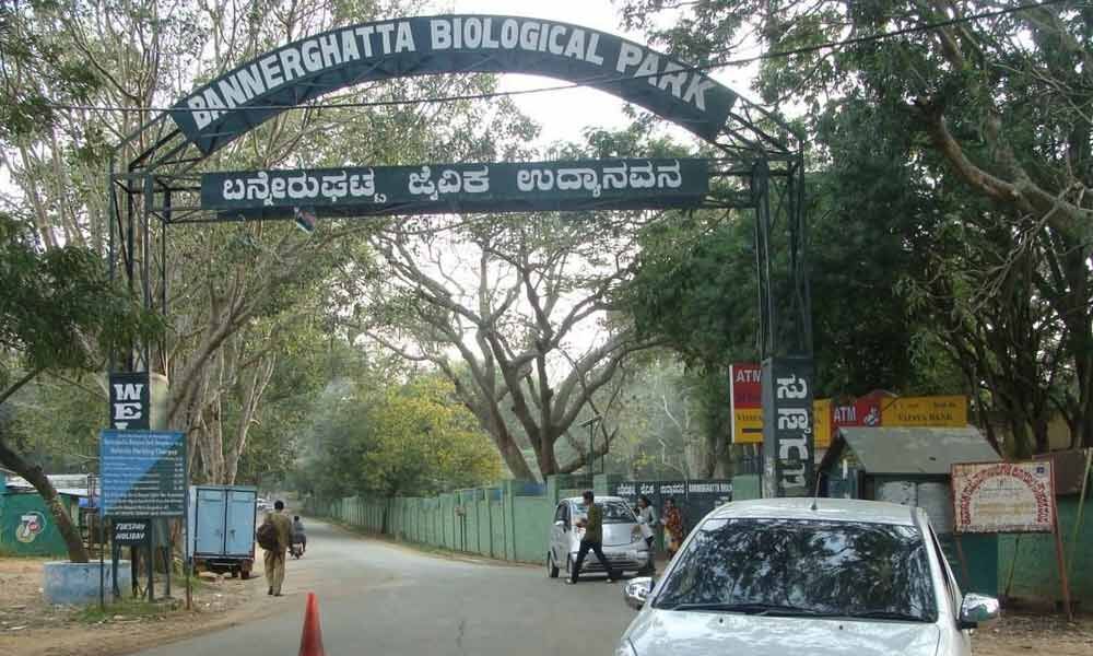 Free guided tour of Bannerghatta Biological Park reptile section
