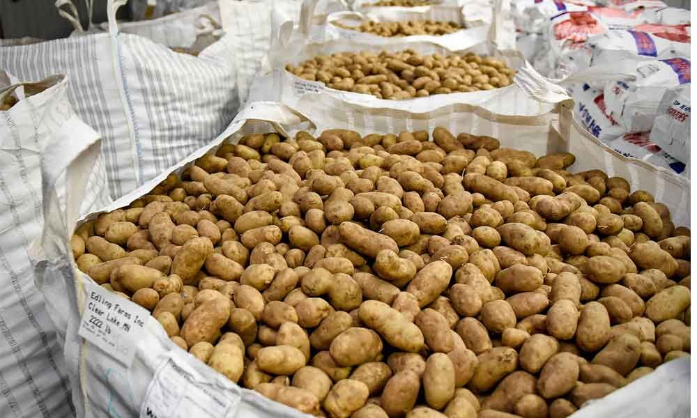 Hyderabad Fun Foods donates 22.5K kg of potato cubes to Akshaya Patra