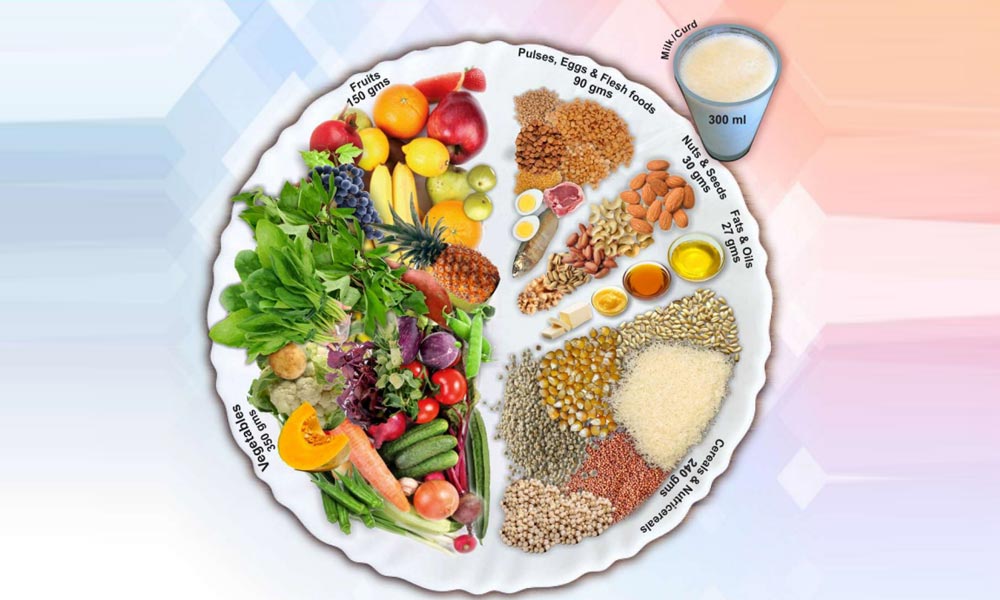 My Plate for the Day Helps Promote Health & Prevent Hidden Hunger ...