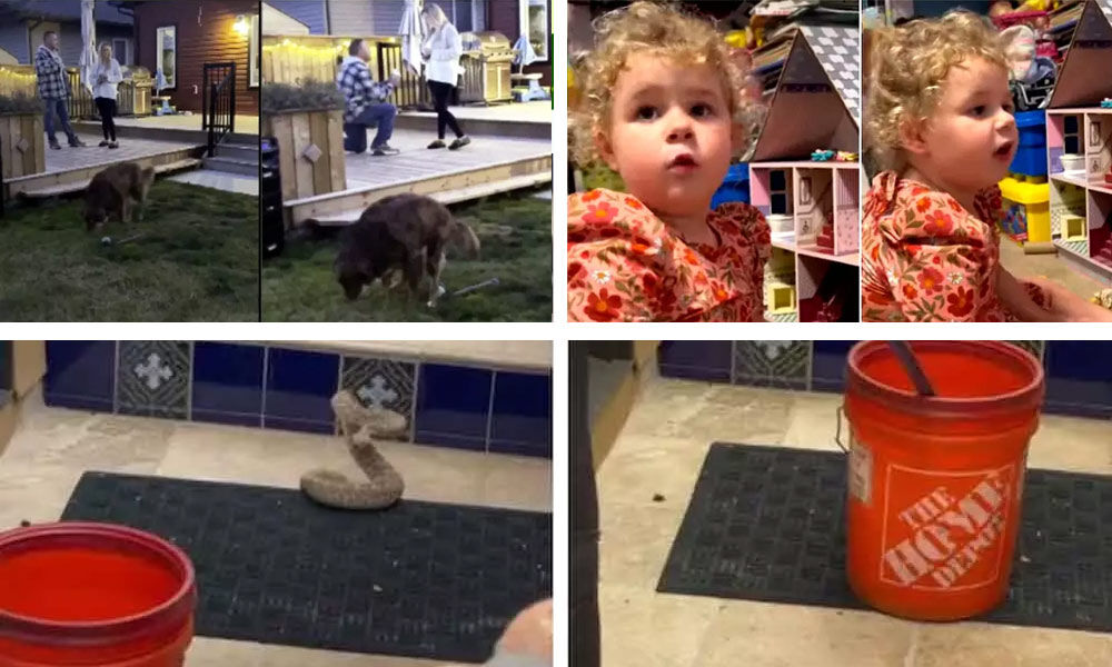 Top Trending Videos Of The Week (8 October - 15 October)