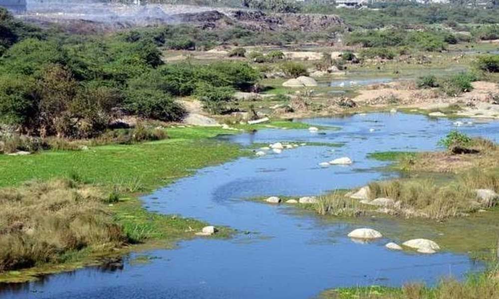 Desilt water bodies to rejuvenate storage capacity in tanks: Farmers