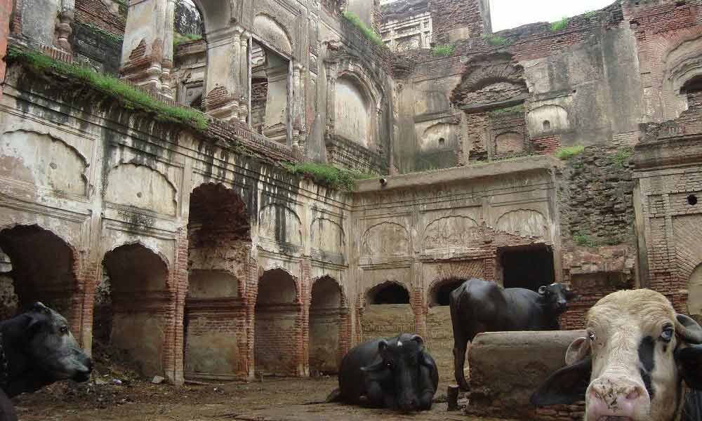 Pakistan's guileful treatment of minorities