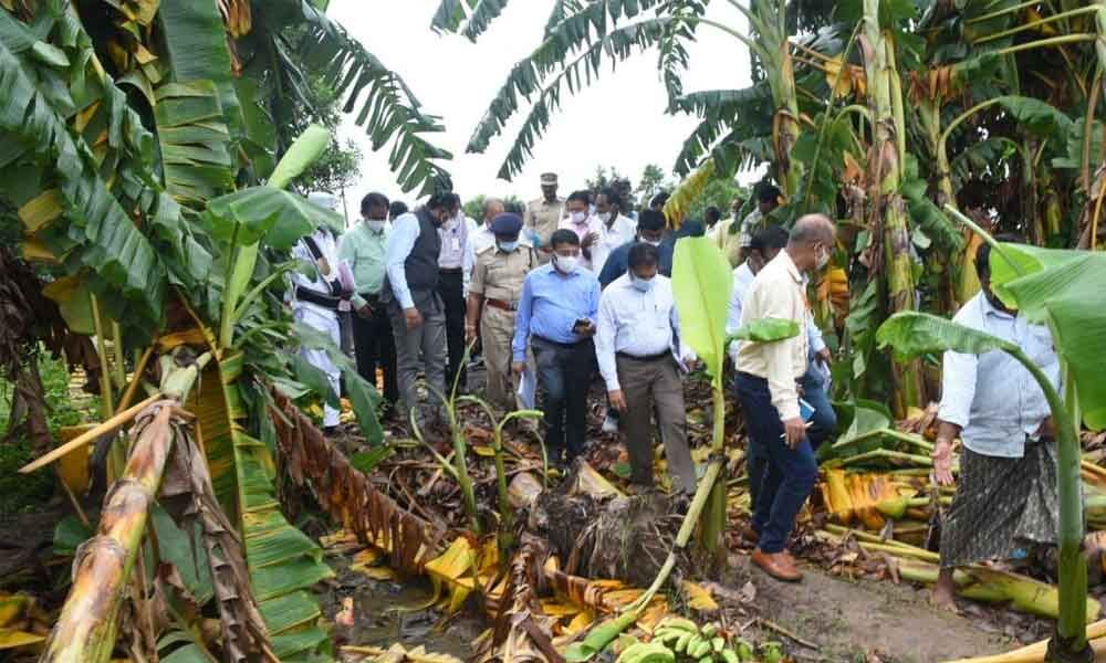 Central team inspects flood-hit areas in Nellore district