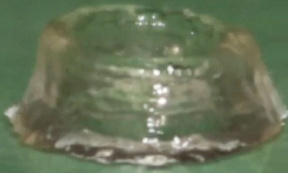 3D Printer Prints Living Blobs Using Ink Made From Microbes