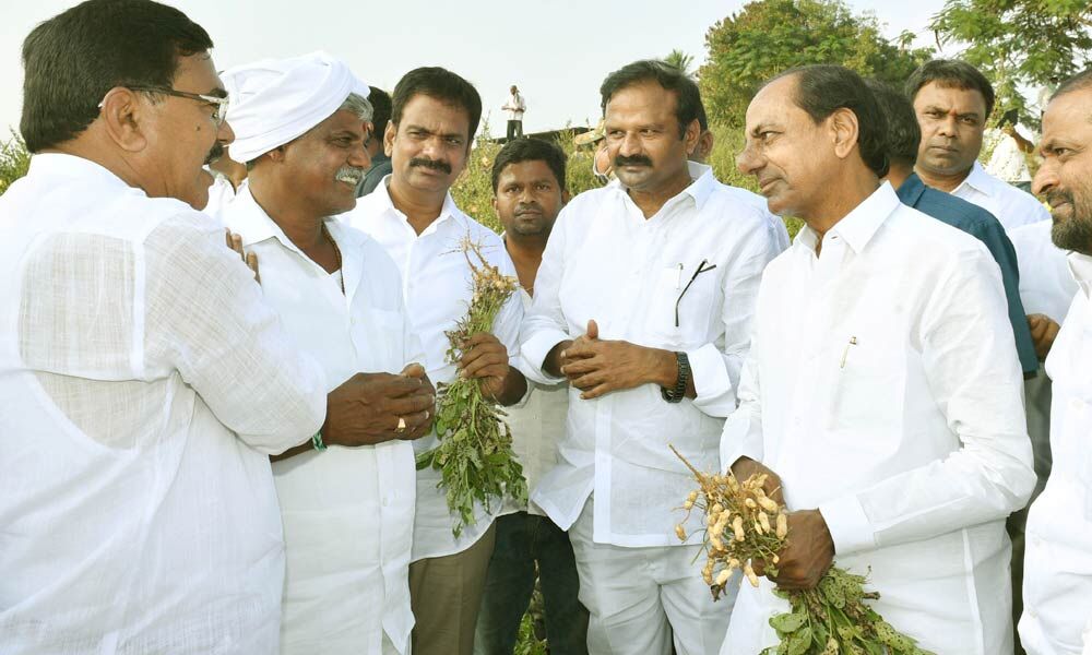 CM KCR makes surprise visit to farms in Wanaparthy