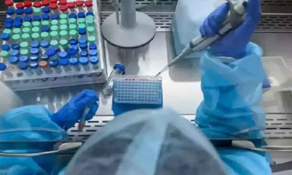 Genome sequencing lab likely in Vijayawada