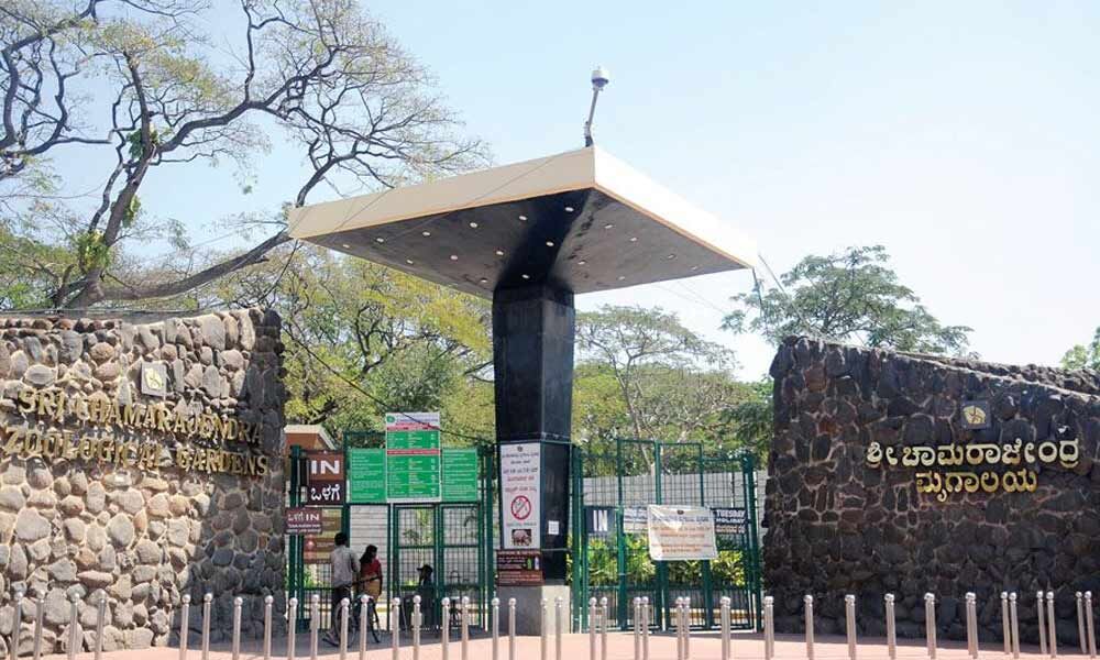 Zoo animal adoption becomes dear as KZA raises rates