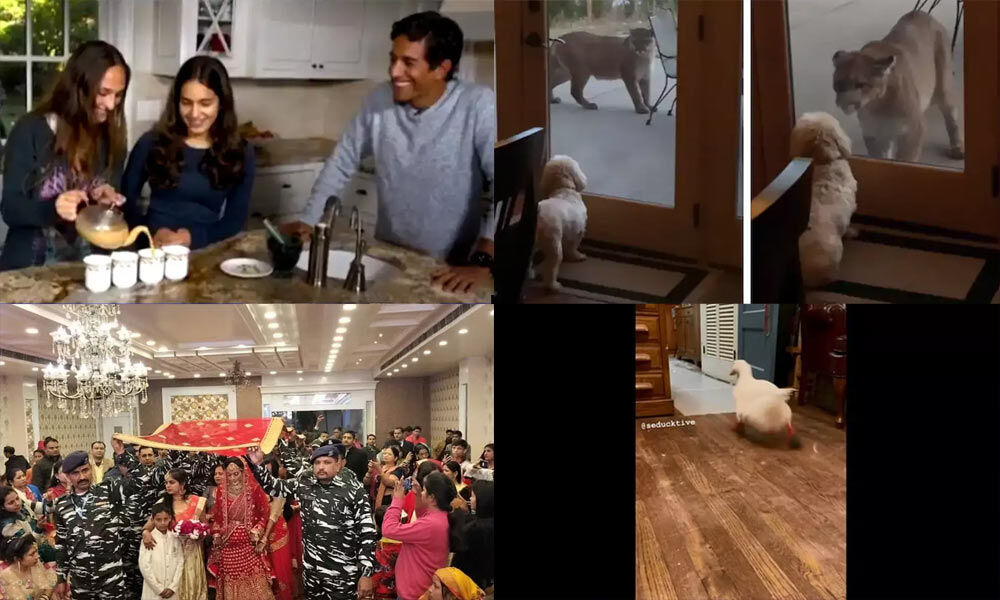 Top Trending Videos Of The week ( 11December - 17 December)