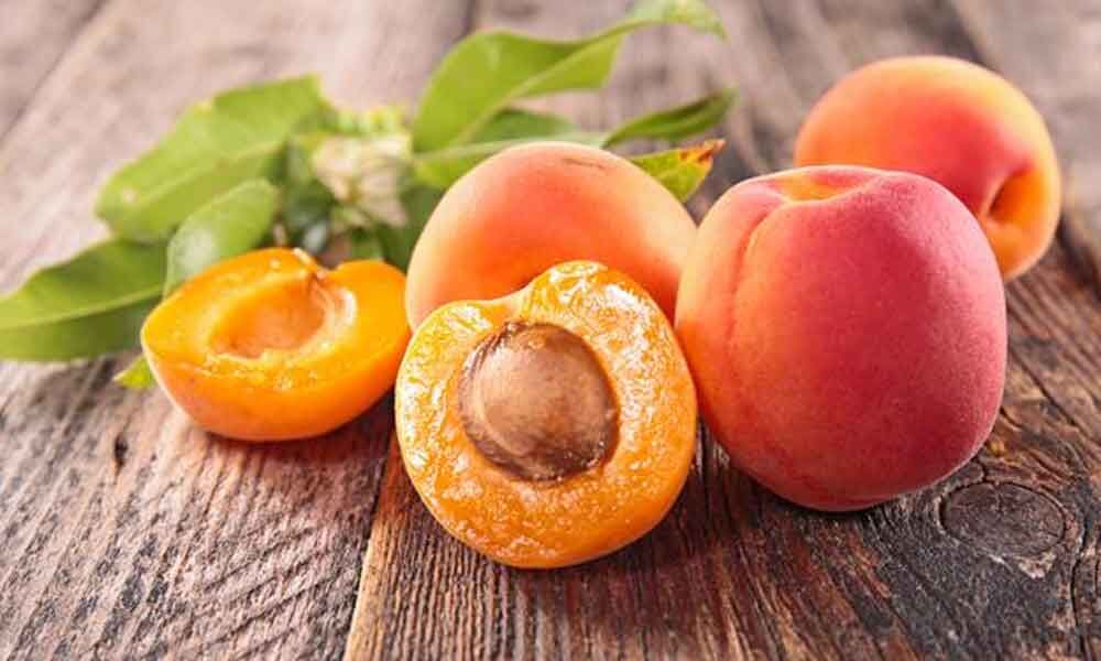 National Apricot Day