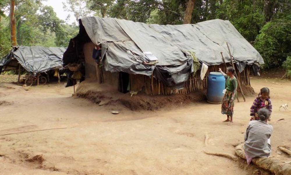 Rehabilitation for tribals evicted from Nagarhole sanctuary remains mirage
