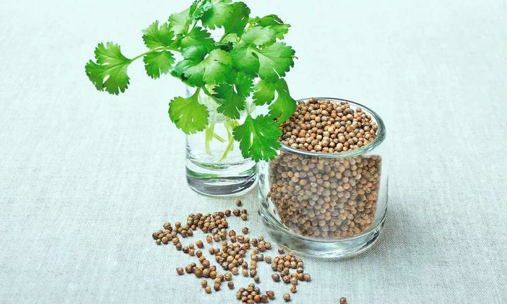 Why One Should Drink Dhania Water Daily?