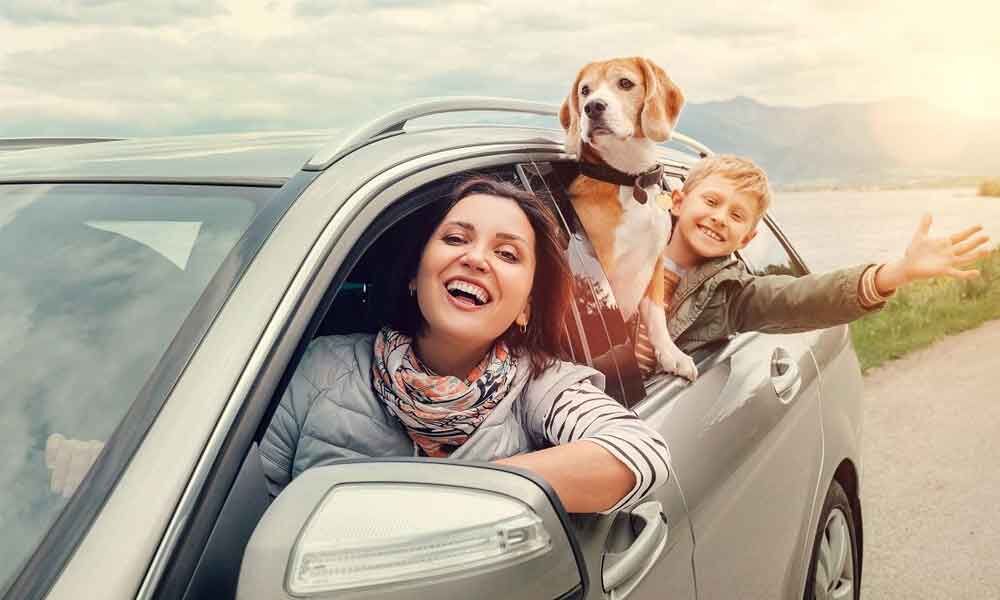Things to consider before planning a journey with pets