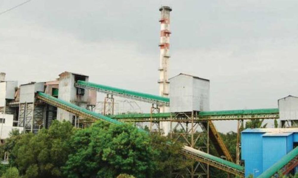 50 cr allocated in budget for Mysugar revival too little, too late