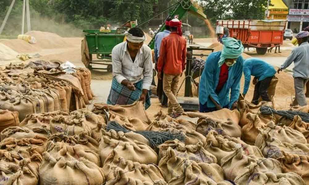 Paddy Purchasing Centers Launched in Telangana