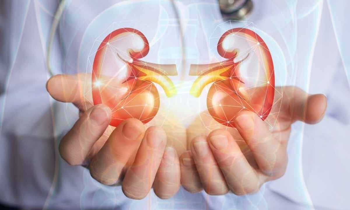 Low-dose lithium may help improve kidney health