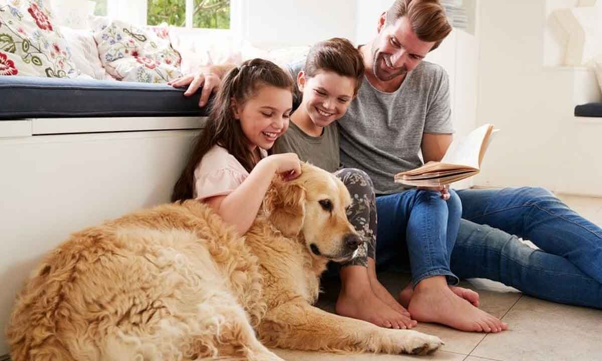 Things to keep in mind while looking for a pet-friendly accommodation