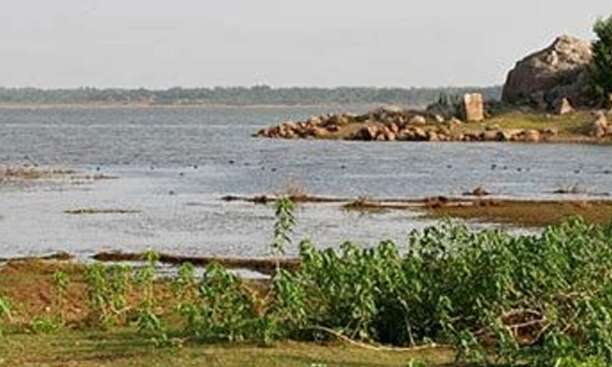 GO111 repeal to see huge inflows into state coffers