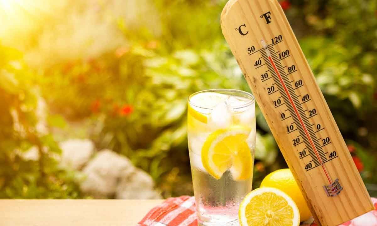 How to survive scorching summer