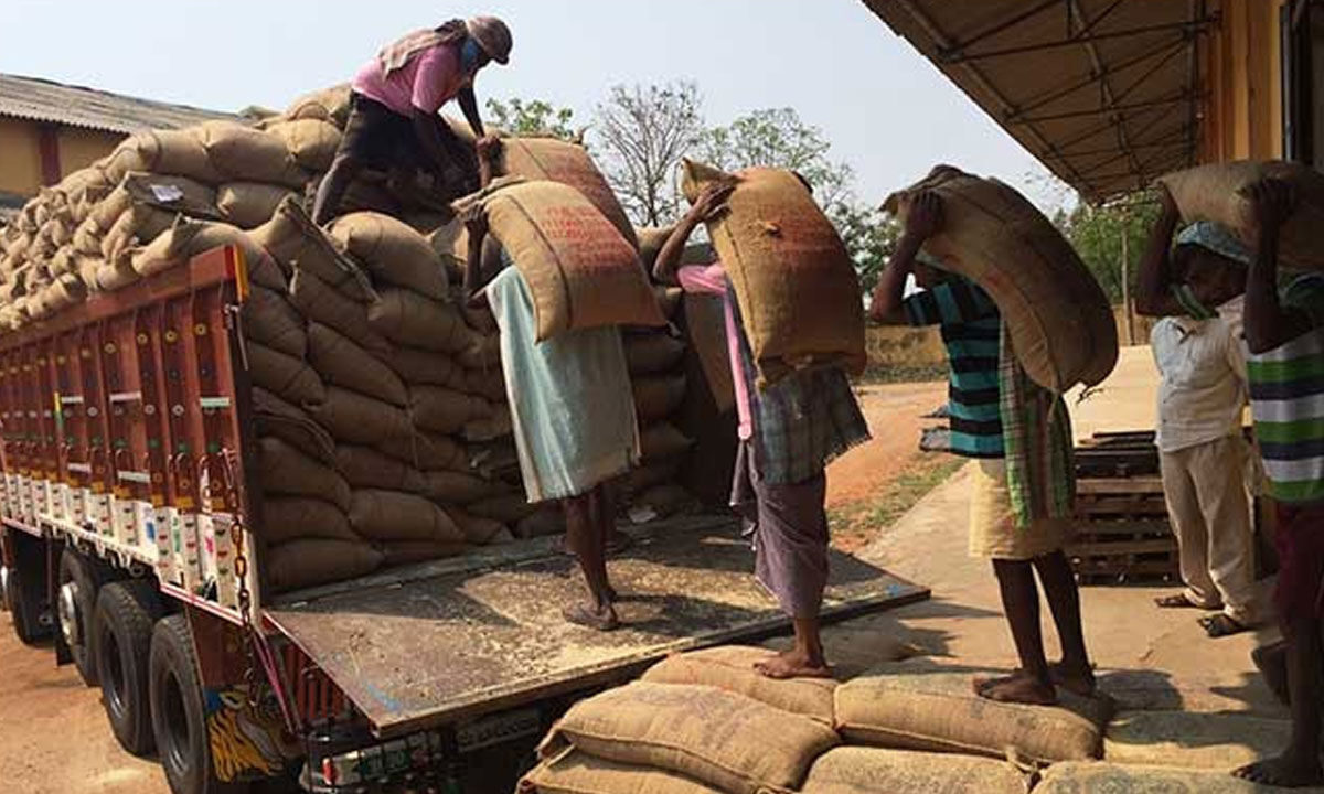 TS can deposit 6.05 LMT of fortified parboiled rice with FCI: Centre