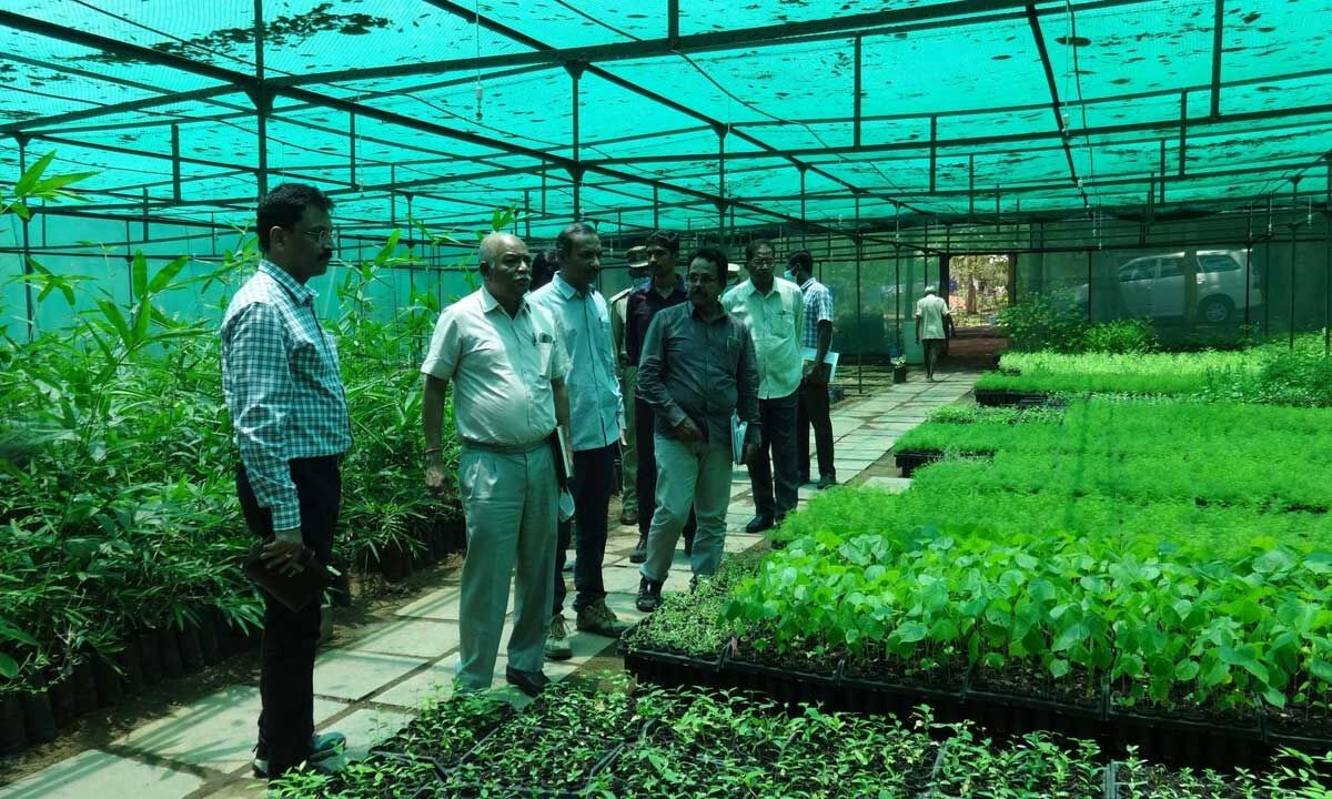 Use technology to conserve forests