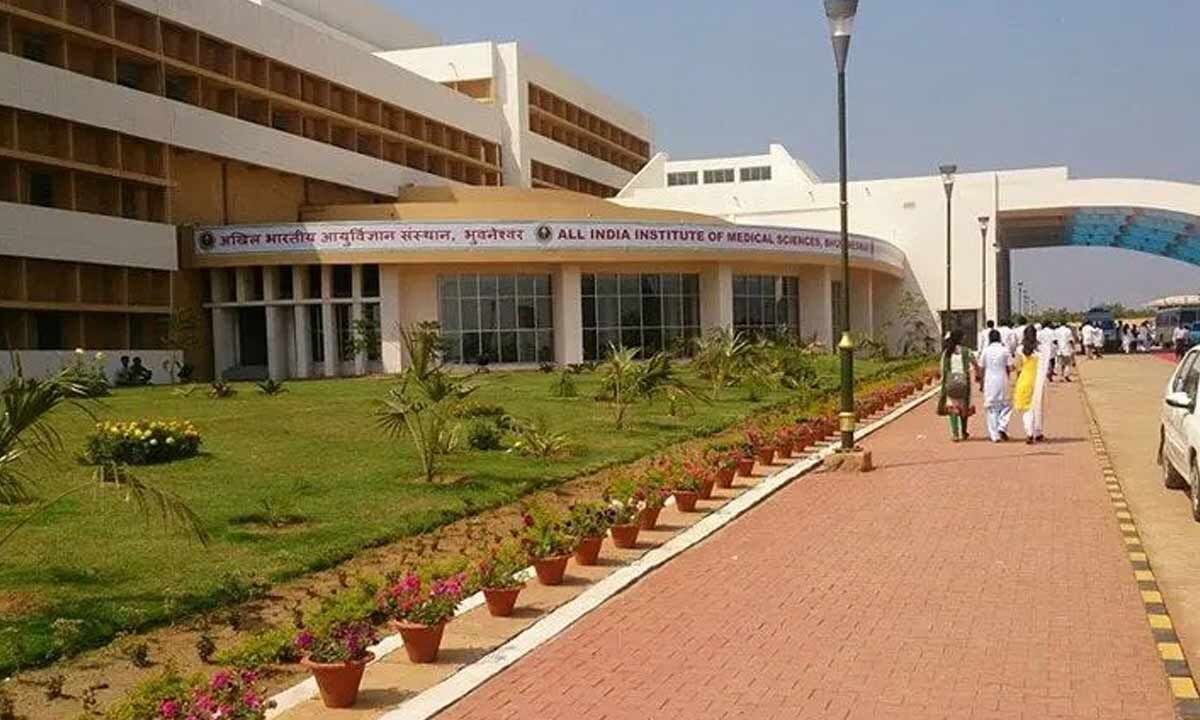 Oncology Day Care, OPD services started at AIIMS