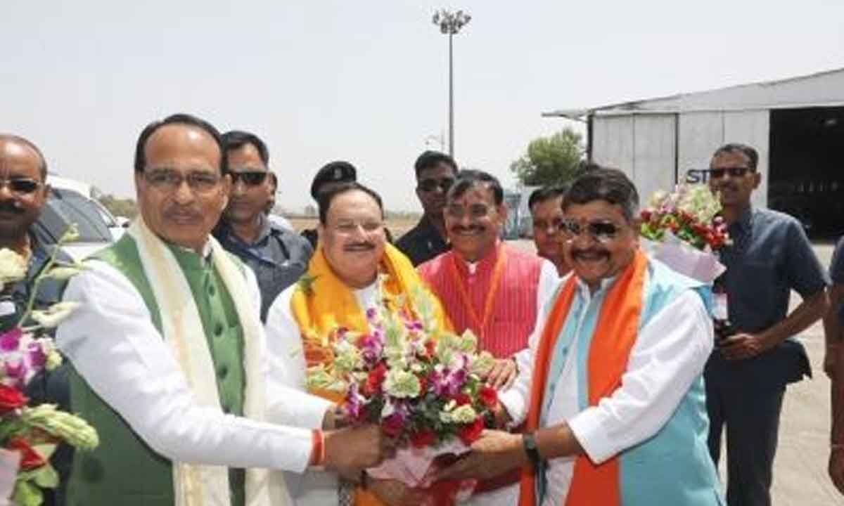 BJP workers scuffle during Nadda's visit