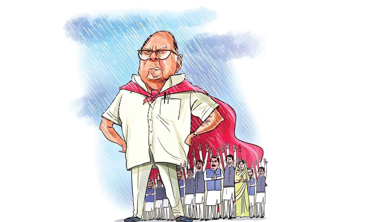 Pawar ready, but wants to see numbers first: NCP