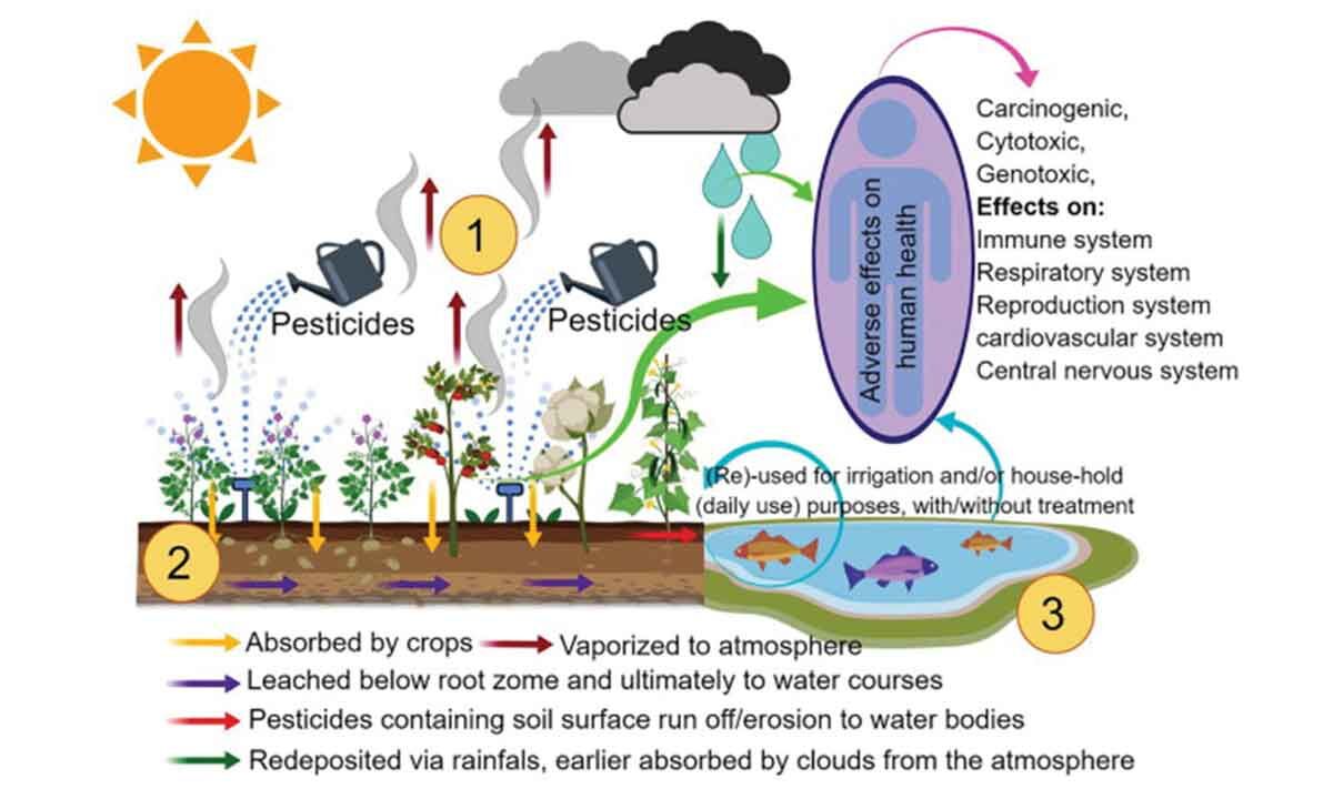 A small step toward eco restoration