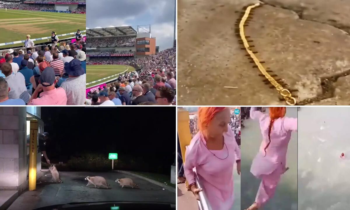 Top Trending Videos Of The Week (25 June - 1 July)