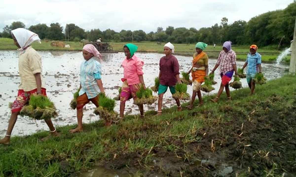 Disbursement of Rythu Bandhu from today