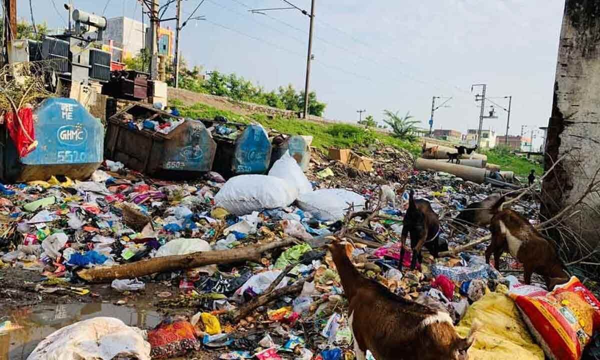 Hyderabad: Poor sanitation breeds vector-borne diseases
