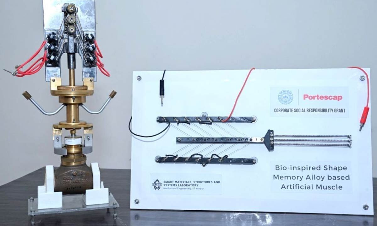 Bio-inspired artificial muscle for space robots developed