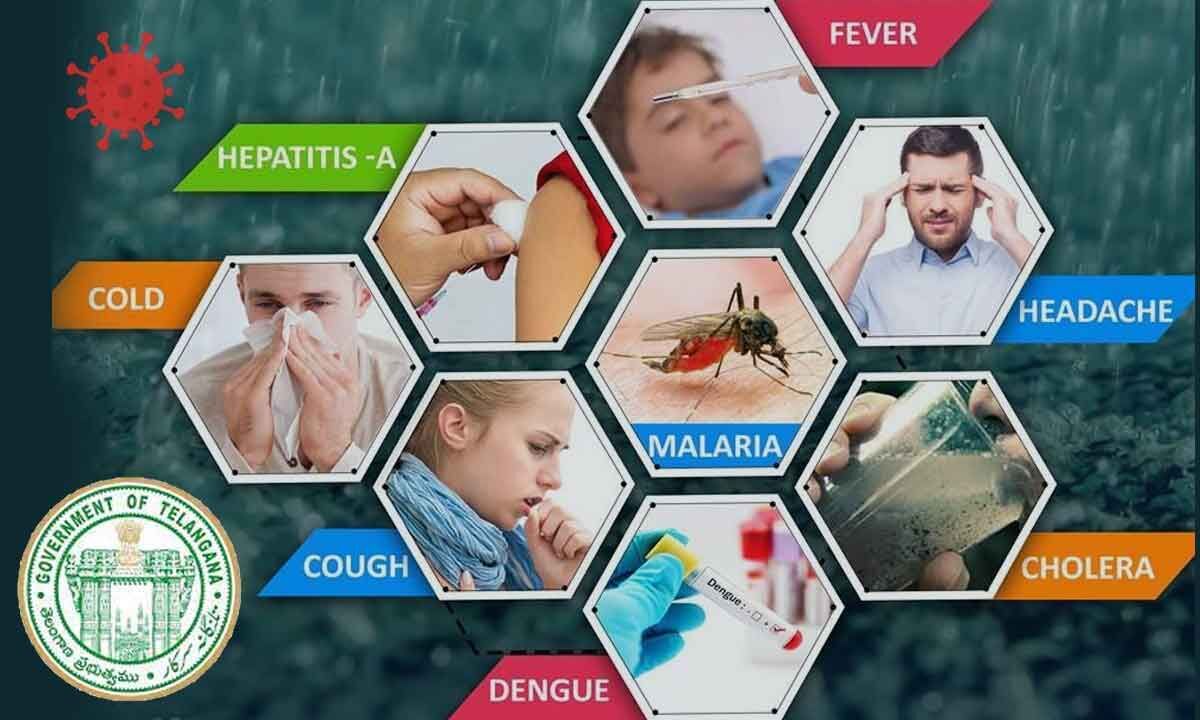 TS govt urges public to be alert on seasonal diseases