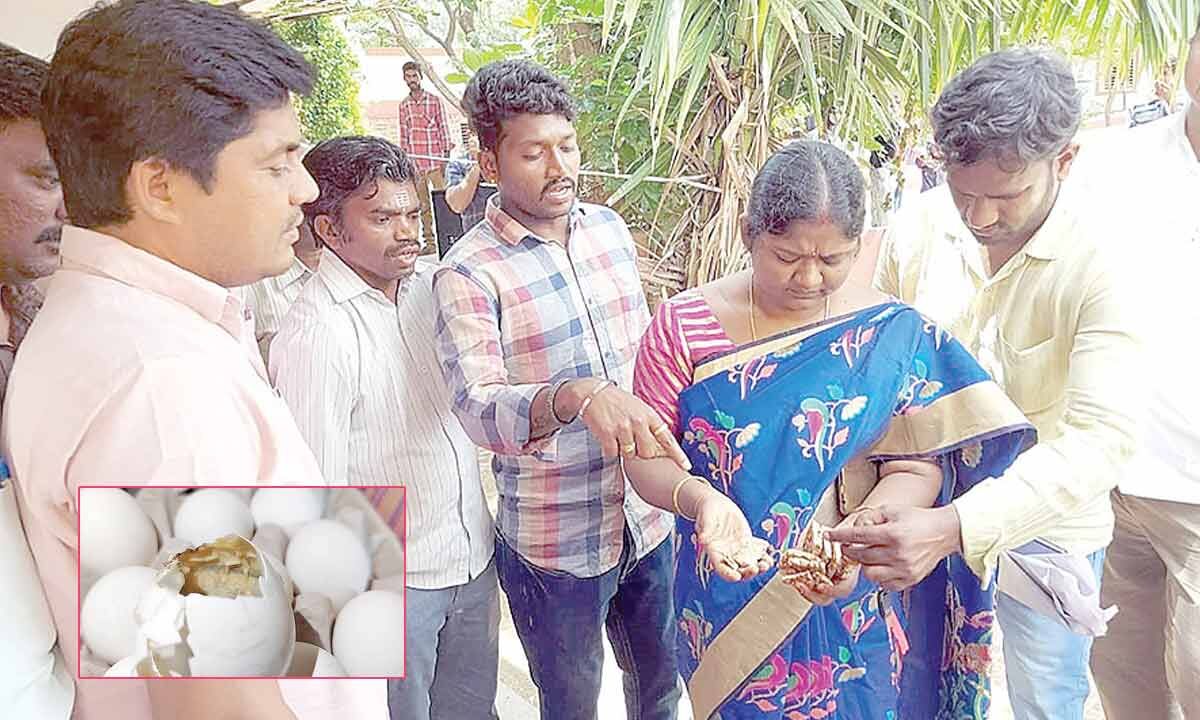 Pathikonda: Rotten eggs supplied in midday meal irk panel member