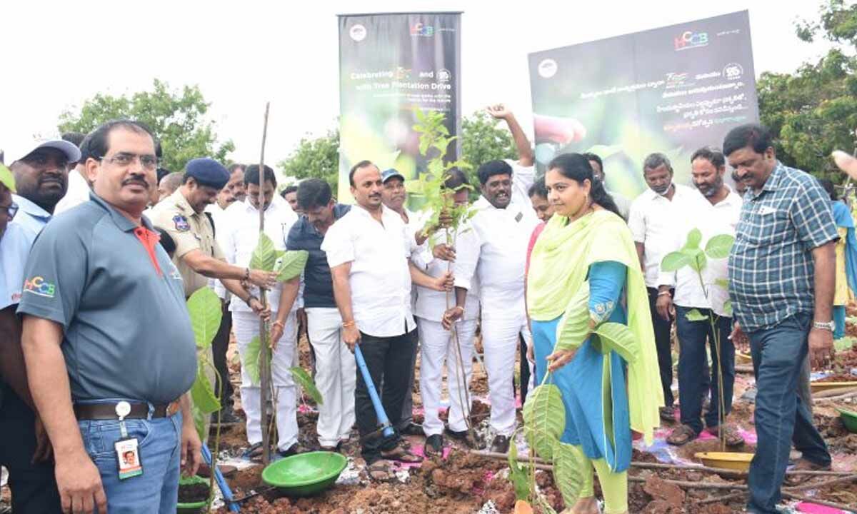 Hyderabad: HCCB plants 15k trees