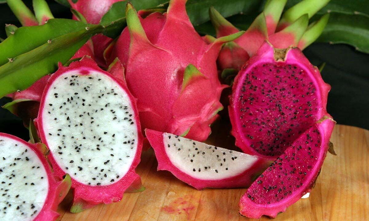 Delicious Dragon Fruit Recipes: Jam, Smoothie, Icefruit, and Dessert Ideas