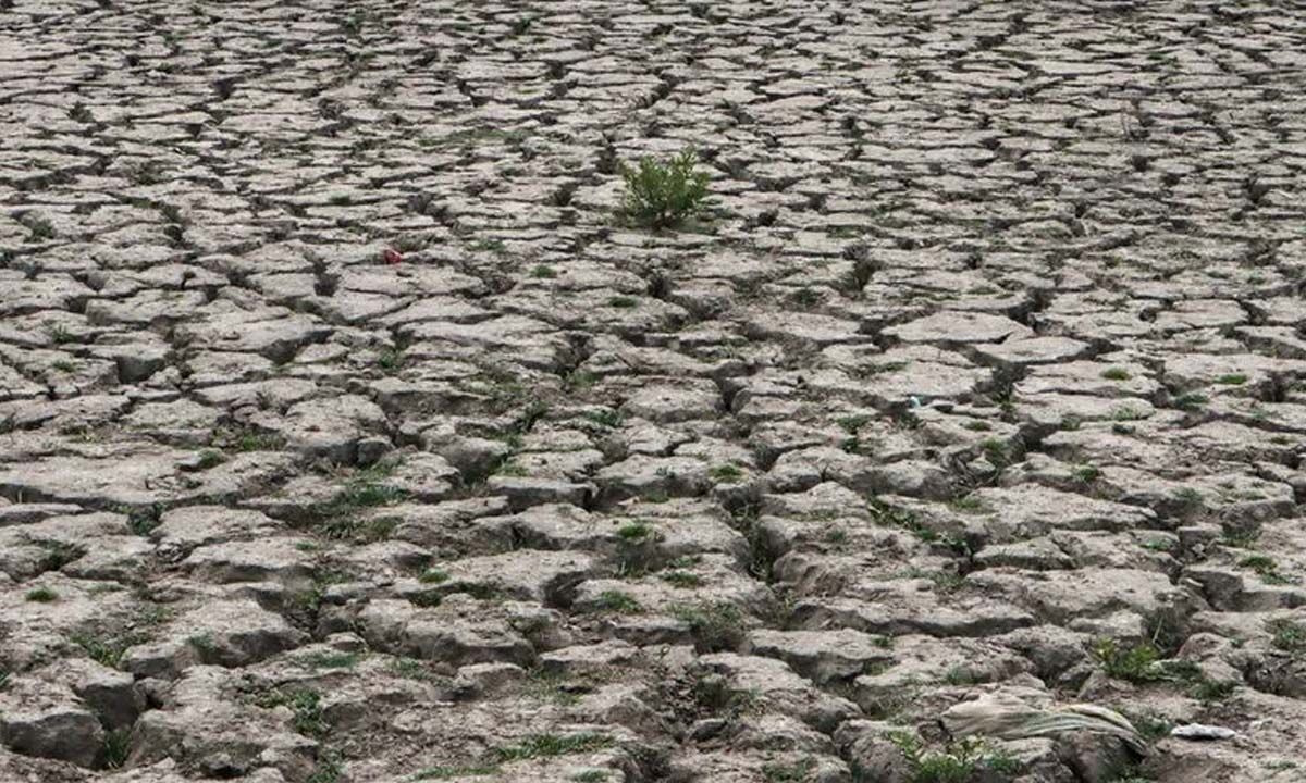 Europe's rivers run dry as drought could be worst in 500 years