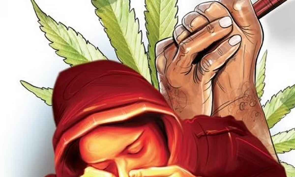 Man Detained For Smuggling Ganja In Chennai