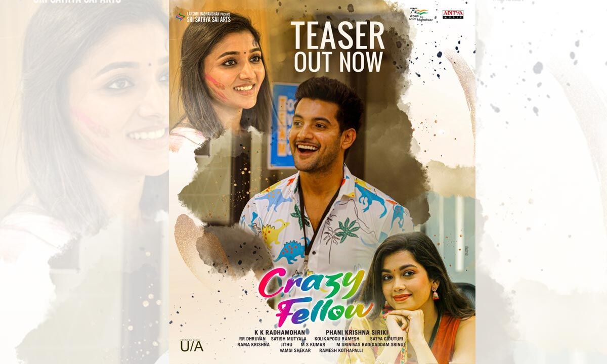 Aadi Sai Kumar's 'Crazy Fellow' Teaser Is Out