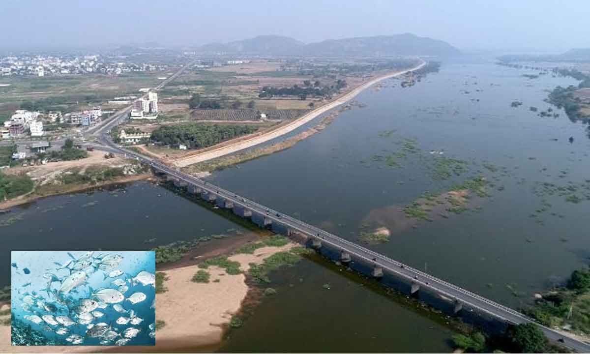 Sircilla set to turn cradle for Blue Revolution